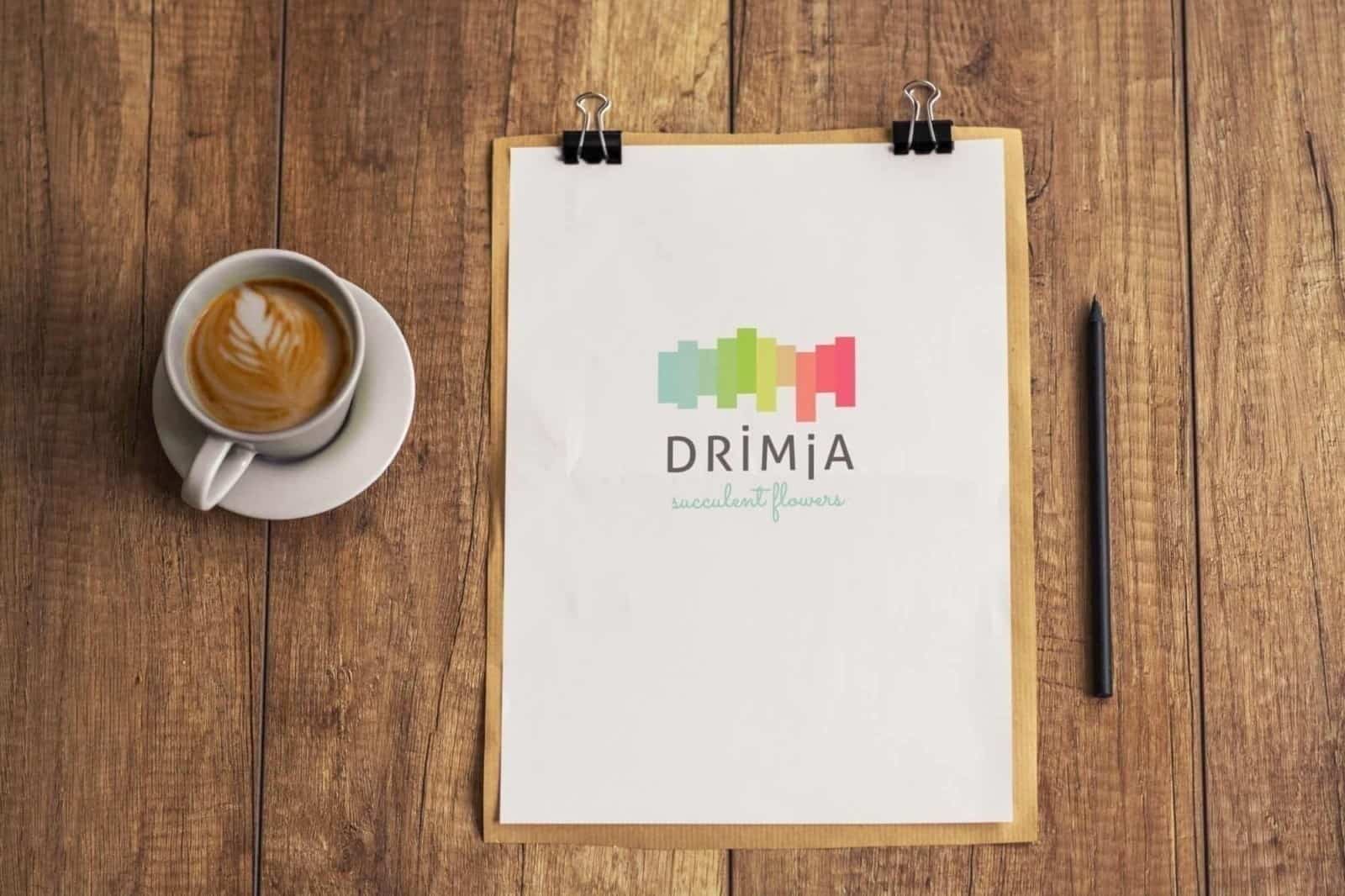 Brand identity process - DRIMIA | Toud